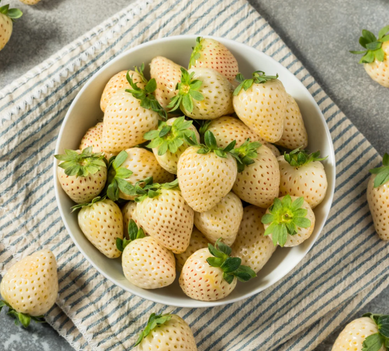 Fragola bianca Pineberry® - Vivai Veimaro - Vivaio specializzato nella ...